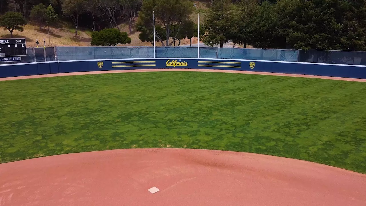 Cal Softball Welcomes Three New Coaches to Steve Singleton’s Staff ...